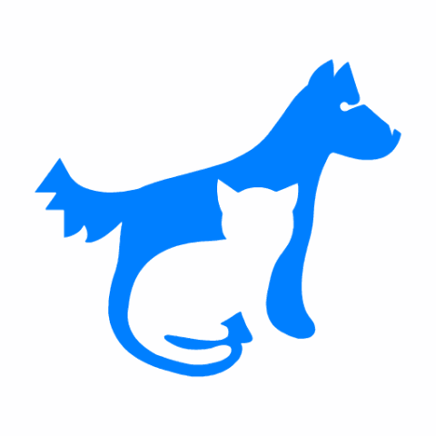 Pet Parasite Control In Dandridge, TN | Dandridge Animal Hospital