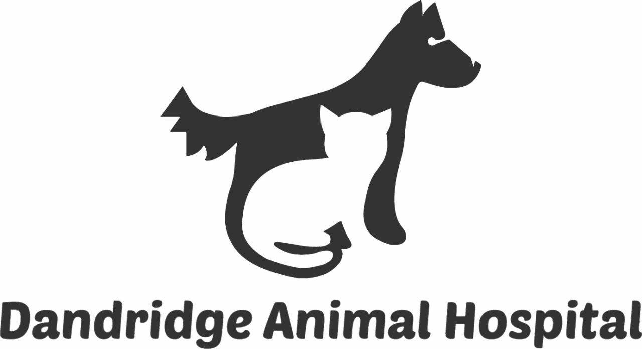 Pet Parasite Control In Dandridge, TN | Dandridge Animal Hospital